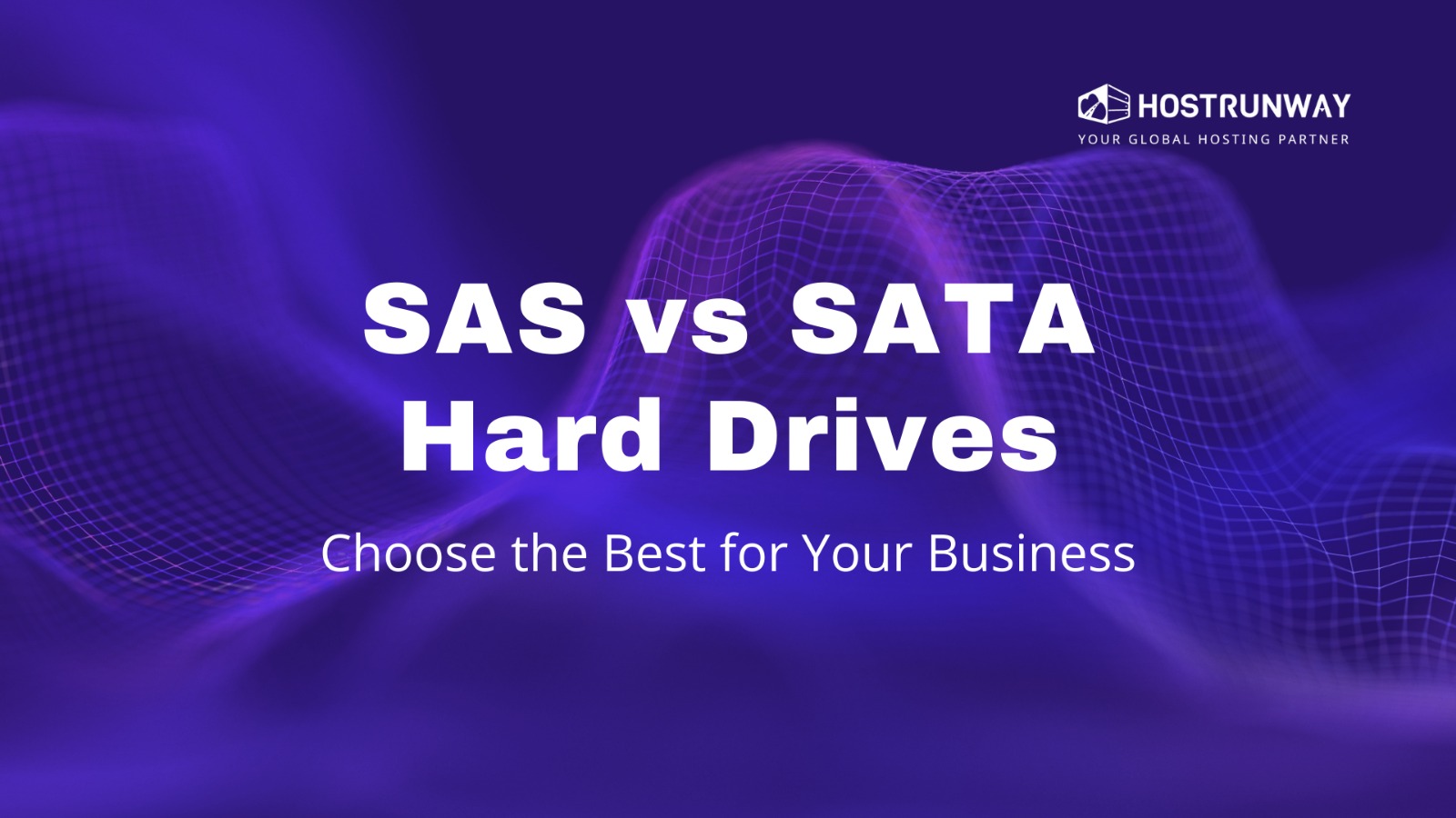 SAS vs SATA Hard Drives: Differences & Recommendations | Hostrunway