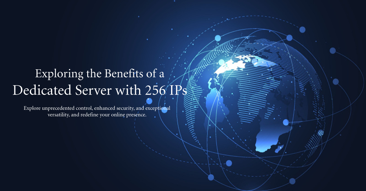 Exploring the Benefits of a Dedicated Server with 256 IPs: A Unique Hostrunway Service - Hostrunway